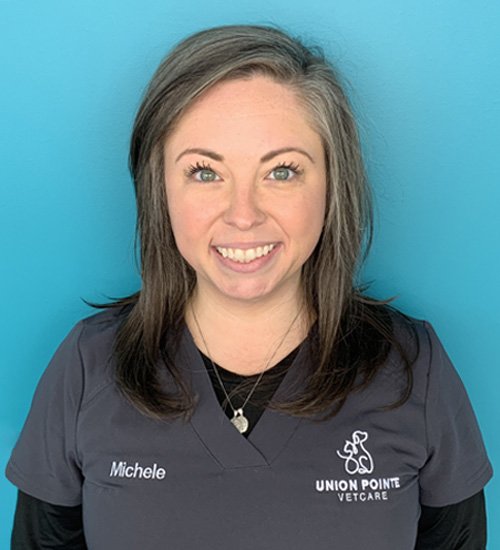 Meet The Team - UpVetCare